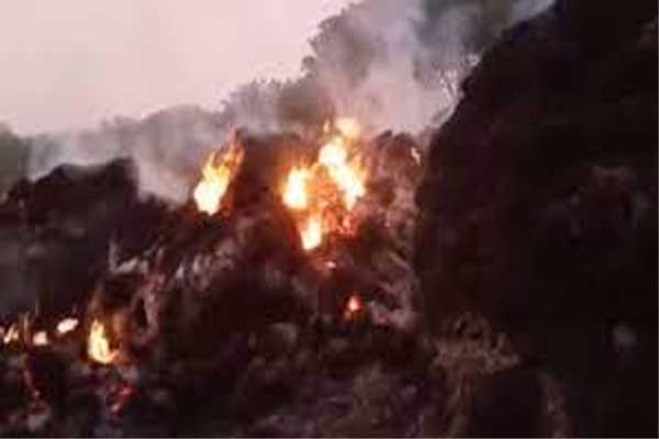 अज्ञात इसमाकडून धान गंजीची जाळपोळ Paddy Bunch Fire - Tarun Bharat Nagpur