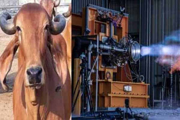 आता शेणाचा वापर करून रॉकेट rockets launched - Tarun Bharat Nagpur