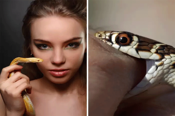 लोकांनी मोडली नशेच्या सर्व मर्यादा Snakebite - Tarun Bharat Nagpur