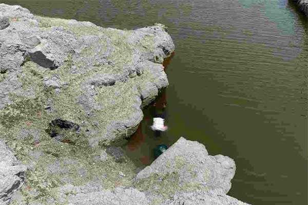 बेंबळा धरणात आढळला अज्ञात इसमाचा मृतदेह (Bembala Dam) - Tarun Bharat Nagpur