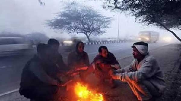 Nagpur Garthal : थंडीचा जोर पुन्हा वाढला, नागपूर गारठले - Tarun Bharat ...