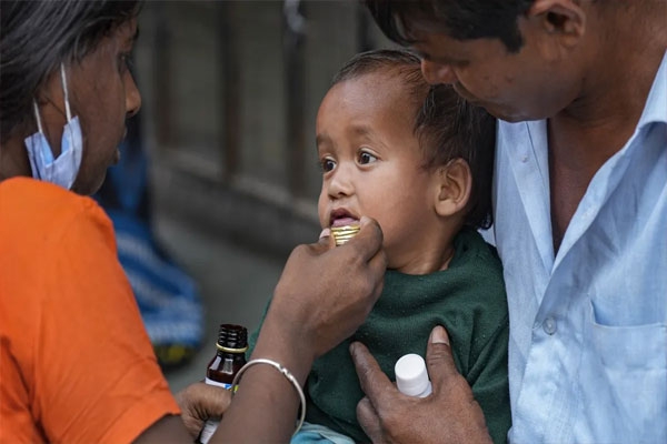 मेंदूला सूज येण्याच्या धोकादायक Chandipura Virus - Tarun Bharat Nagpur