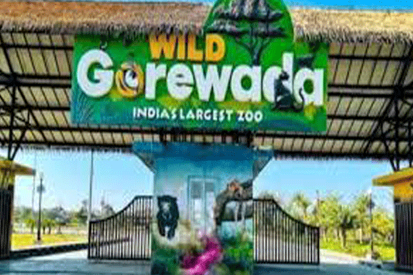 गोरेवाड्यातील आफ्रिकन सफारीचा मार्ग Gorewada African Safari - Tarun ...